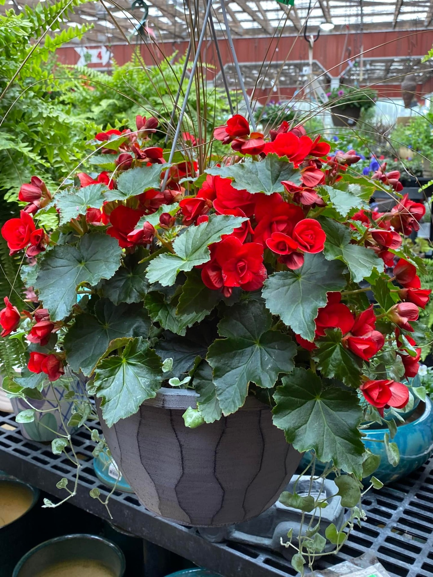 Guide to Farm-to-Table Dining in Lancaster, PA | Discover Lancaster