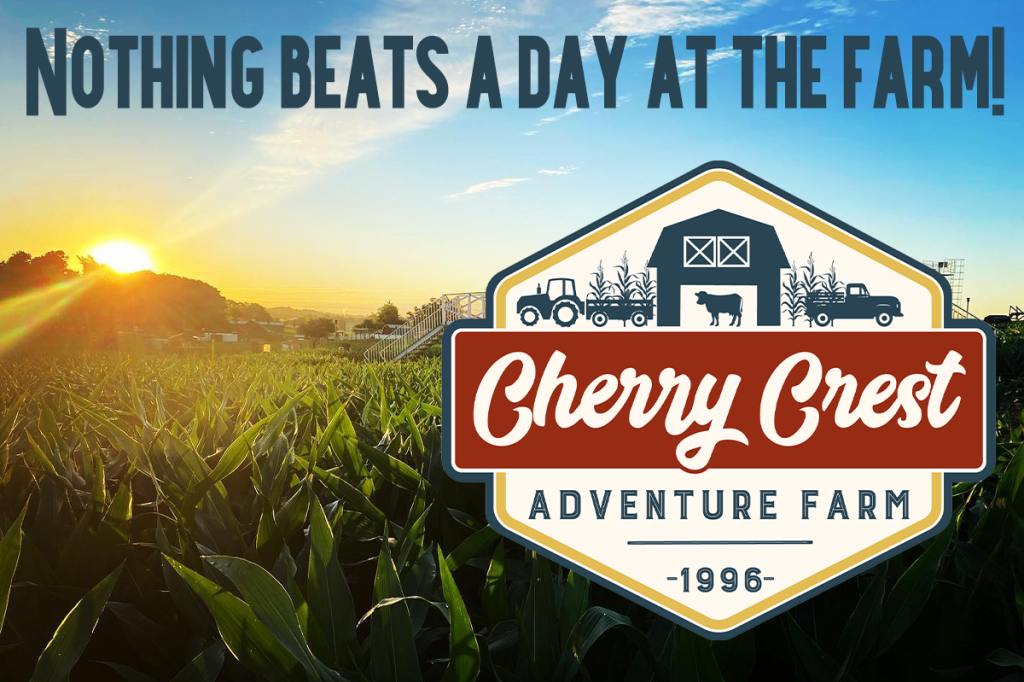 Animal Experiences in Lancaster, PA | Discover Lancaster