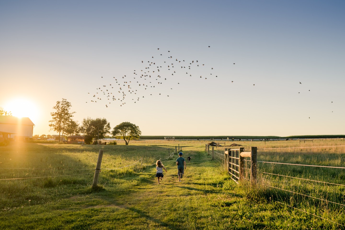 Insider's Guide to Kid-Friendly Farms in Lancaster, PA | Discover Lancaster