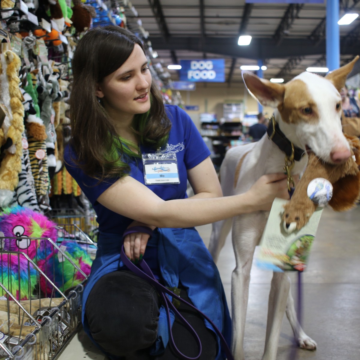 That Fish Place - That Pet Place | Discover Lancaster