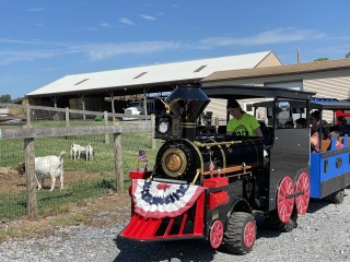 Animal Experiences in Lancaster, PA | Discover Lancaster