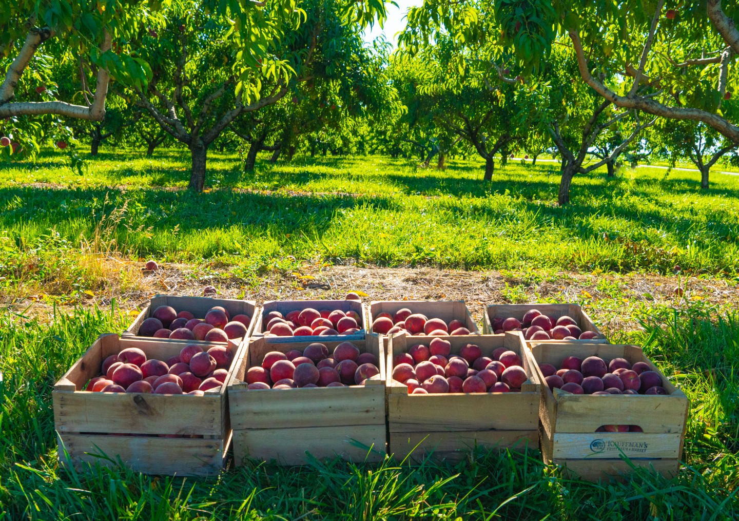 Lancaster County's Seasonal Produce Guide | Discover Lancaster