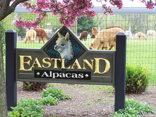 Animal Experiences in Lancaster, PA | Discover Lancaster
