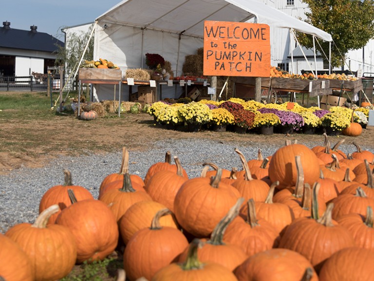Lancaster County's Seasonal Produce Guide | Discover Lancaster