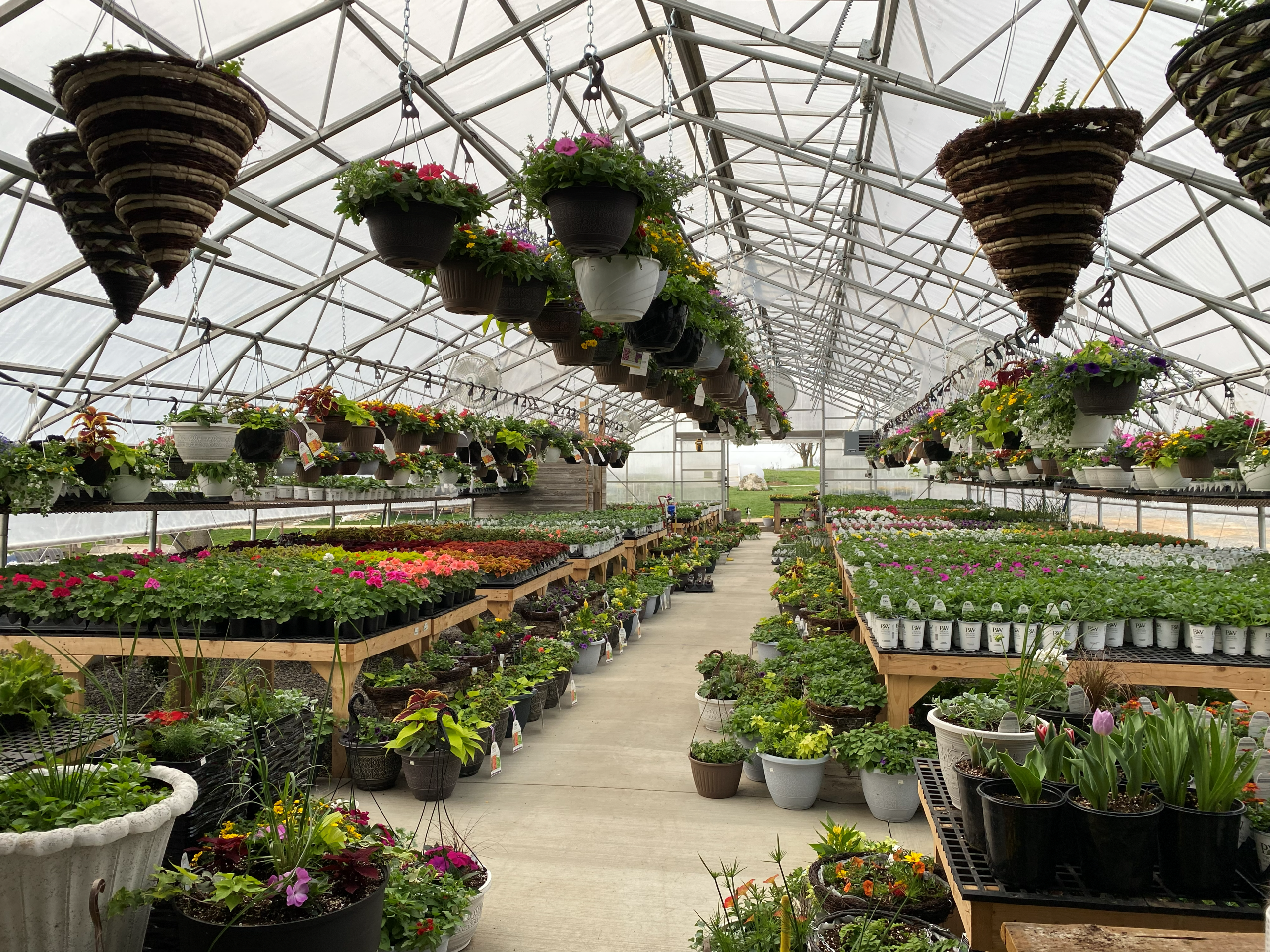 Animal Experiences in Lancaster, PA | Discover Lancaster