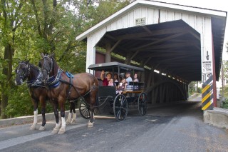 How do Amish Celebrate Christmas? | Discover Lancaster