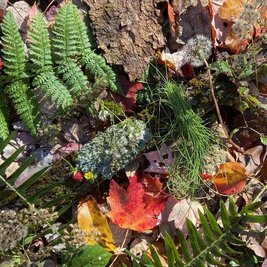 Top 21 Trails for Hiking, Biking & More | Discover Lancaster