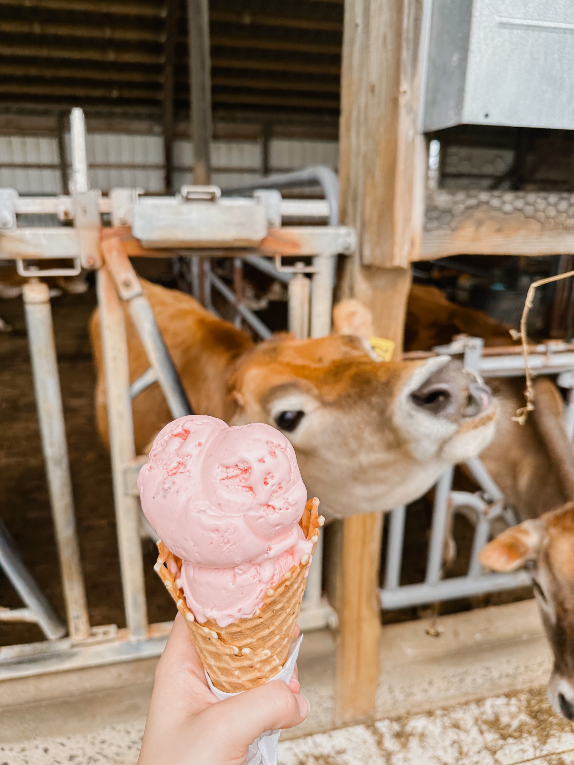 Two-Day Family Itinerary to Lancaster County, PA | Discover Lancaster