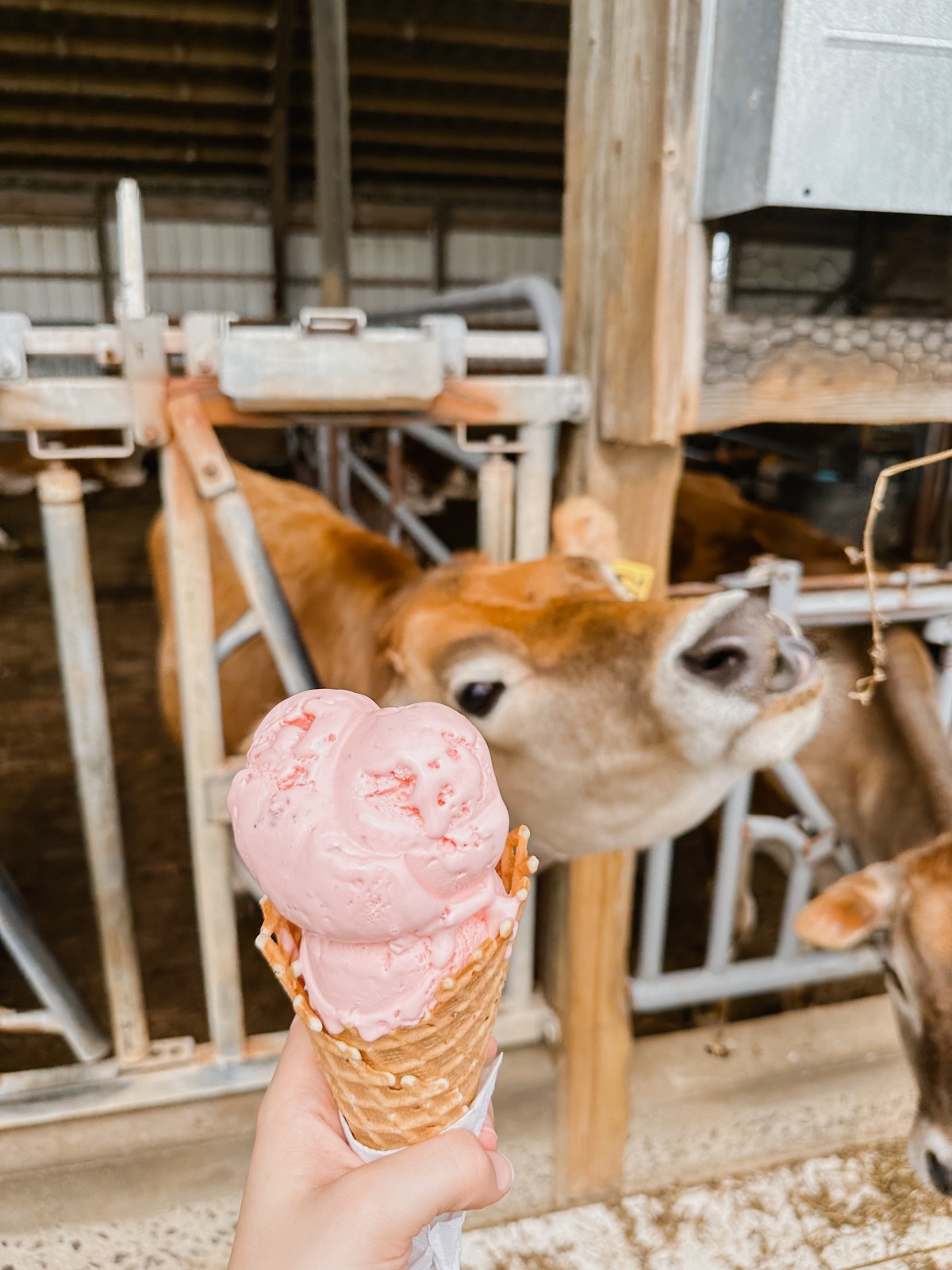 Two-Day Family Itinerary to Lancaster County, PA | Discover Lancaster