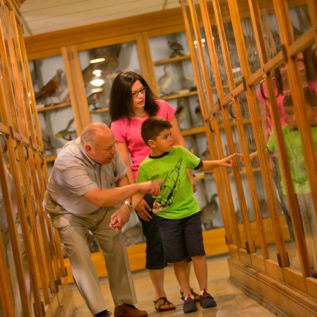 North Museum of Nature and Science | Discover Lancaster