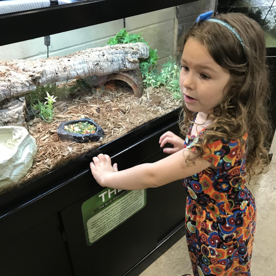 That Fish Place - That Pet Place | Discover Lancaster