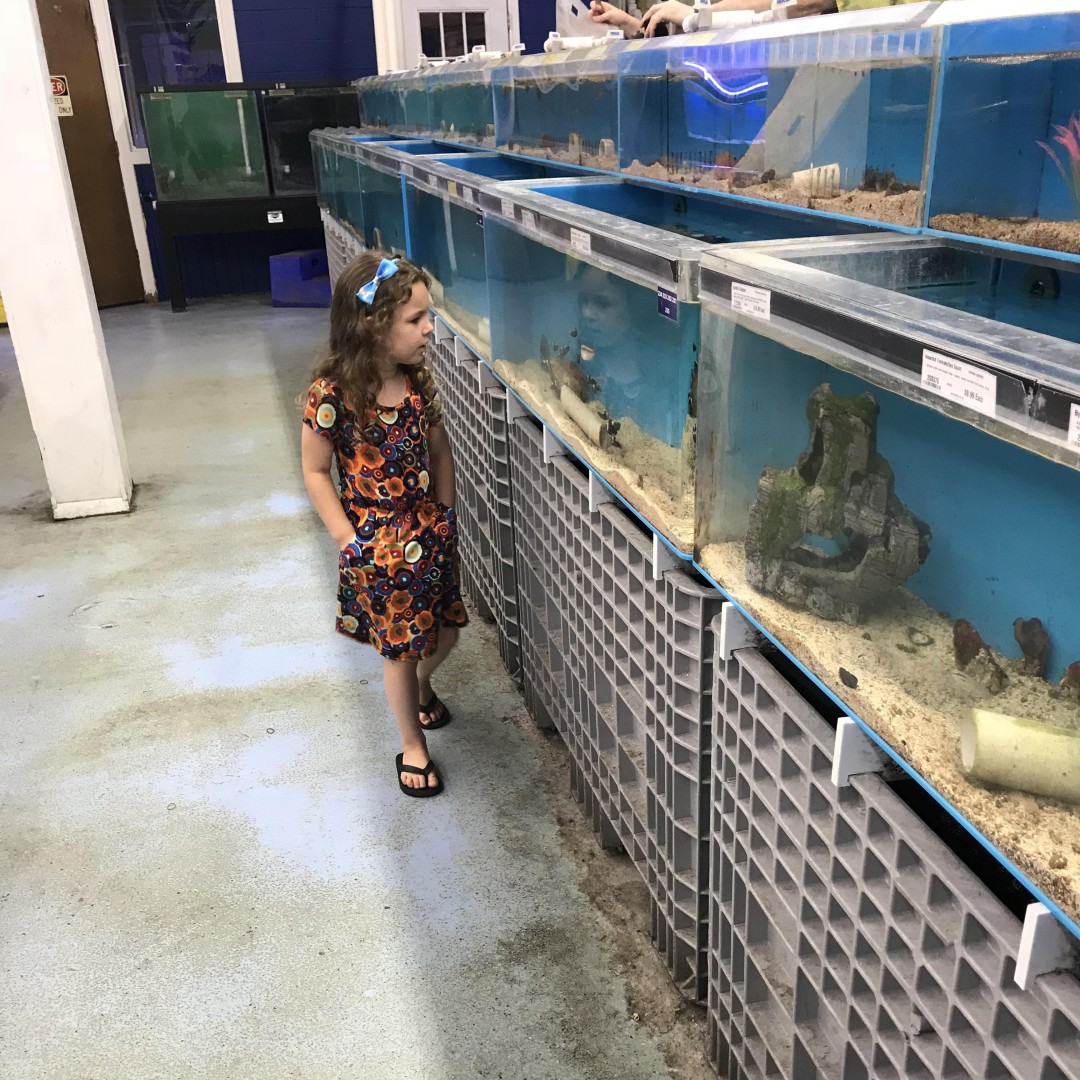 That Fish Place - That Pet Place | Discover Lancaster