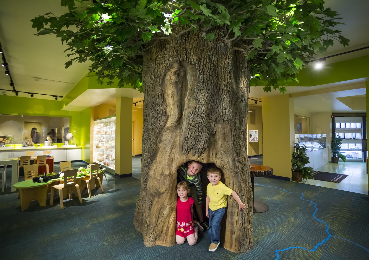 North Museum of Nature and Science | Discover Lancaster