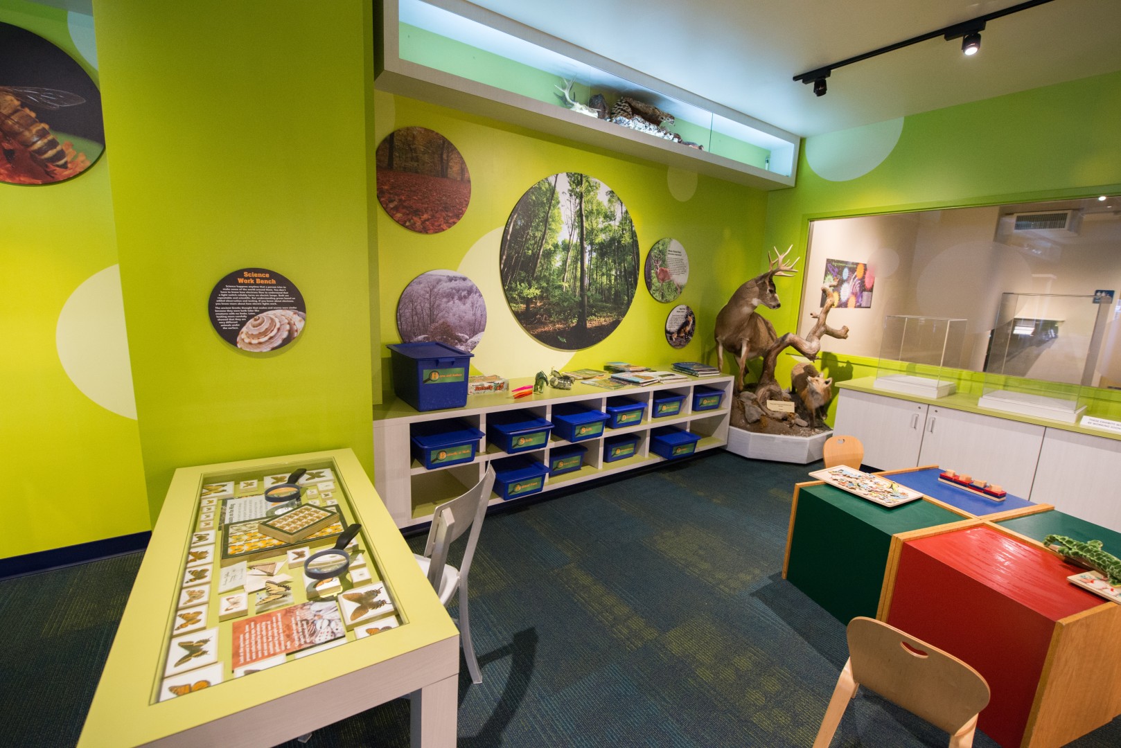 North Museum of Nature and Science | Discover Lancaster