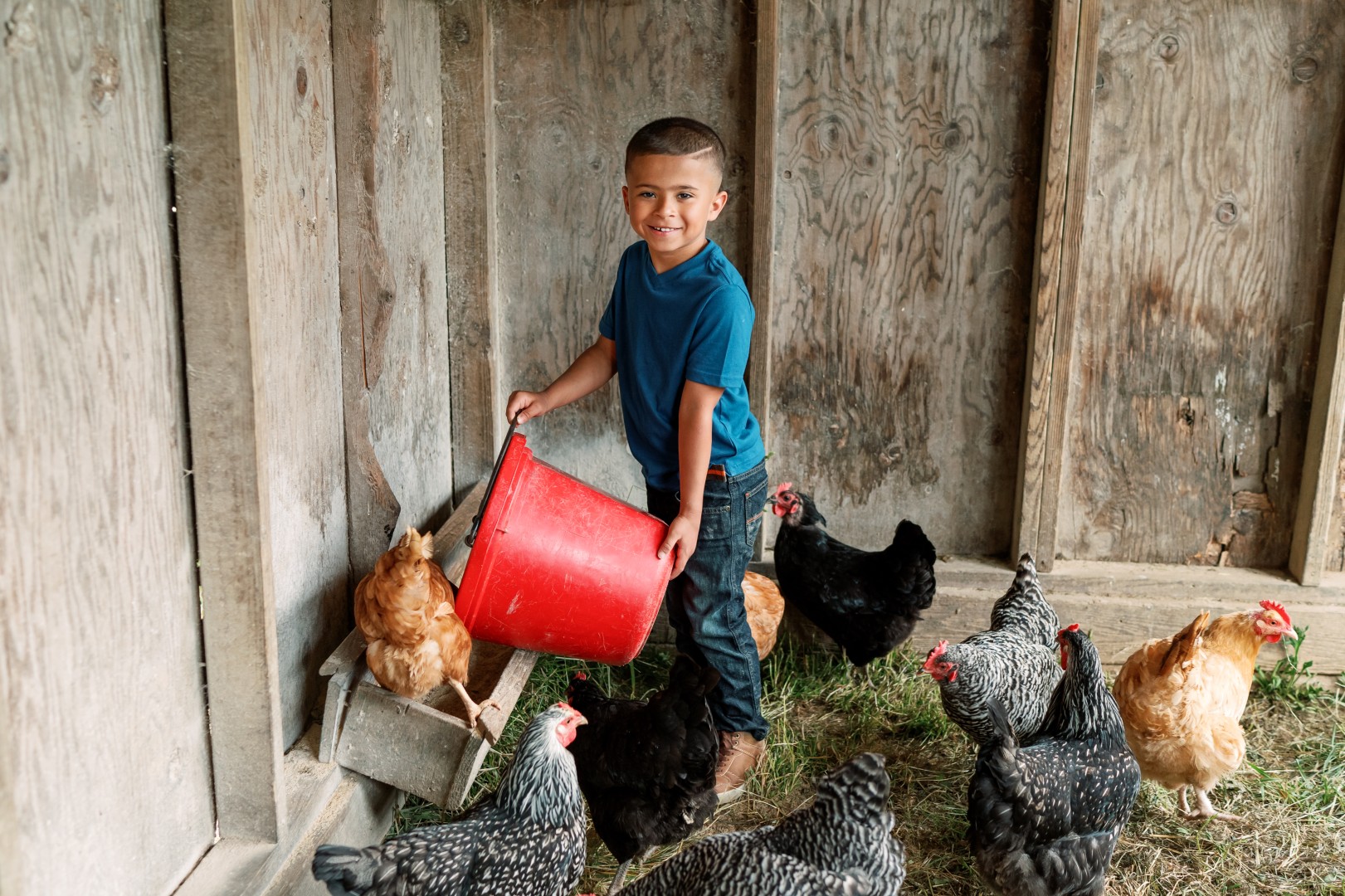 Verdant View Farm Bed & Breakfast | Discover Lancaster