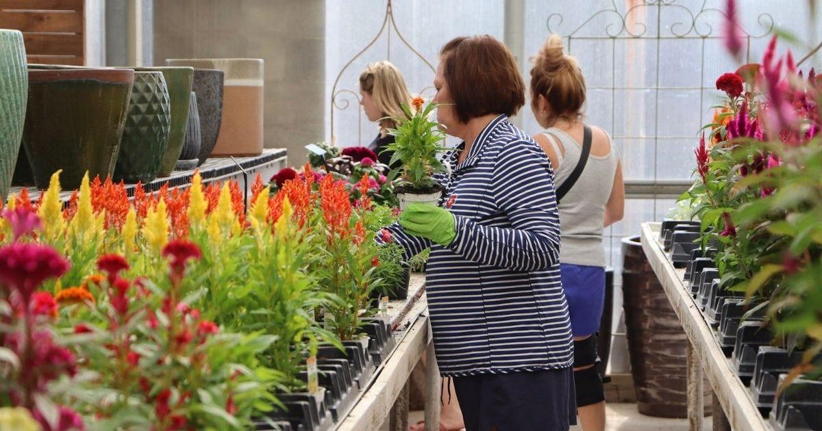 Fall Open House | Perfect Pots Greenhouse | Discover Lancaster