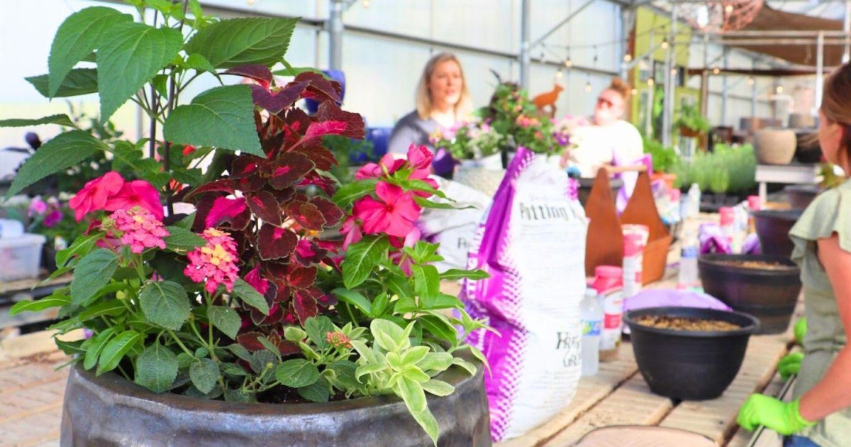 Summer Planter Workshop | Discover Lancaster