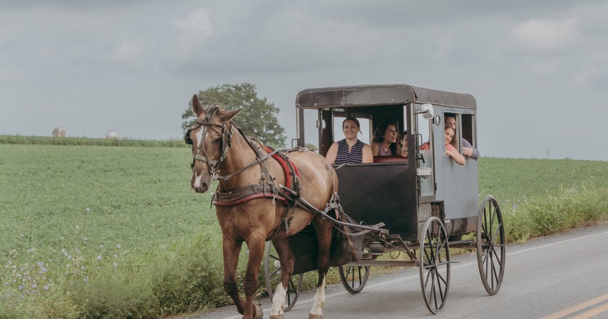 Animal Experiences in Lancaster, PA | Discover Lancaster