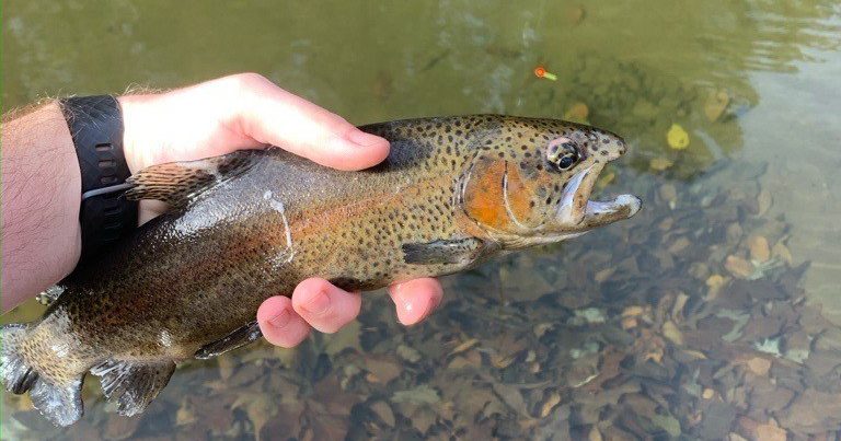 Places to Fish in Lancaster | Discover Lancaster