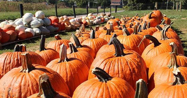 Fall Activities & Festivals in Lancaster, PA | Discover Lancaster