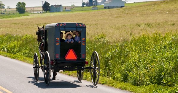 Proper Road Etiquette Around Buggies | Discover Lancaster