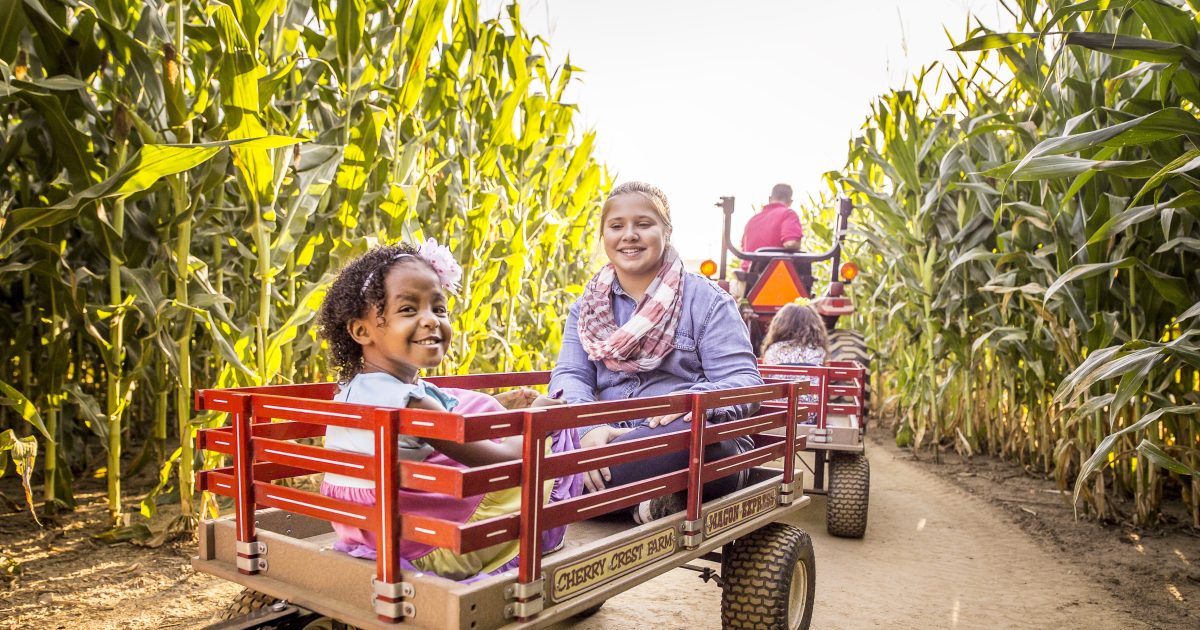 Cherry Crest Adventure Farm | Tickets, Hours, & More Info | Discover ...