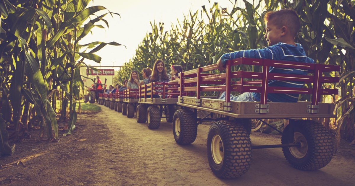 Top Things To Do With Toddlers in Lancaster, PA | Discover Lancaster