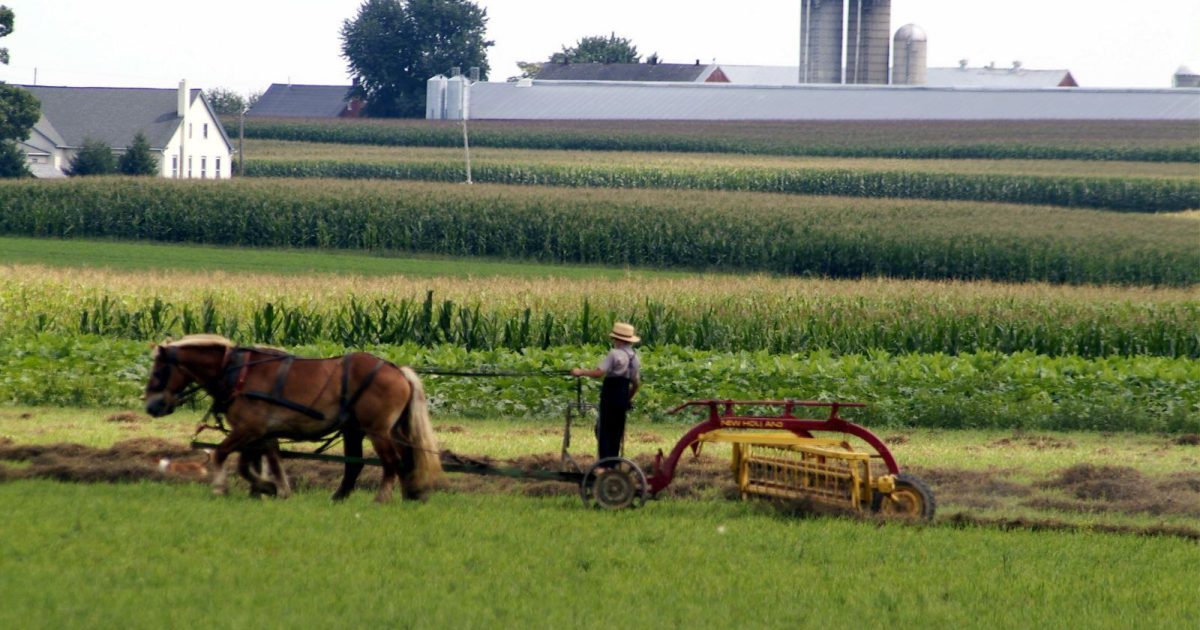 Amish & Dutch Pennsylvania Countryside | Discover Lancaster
