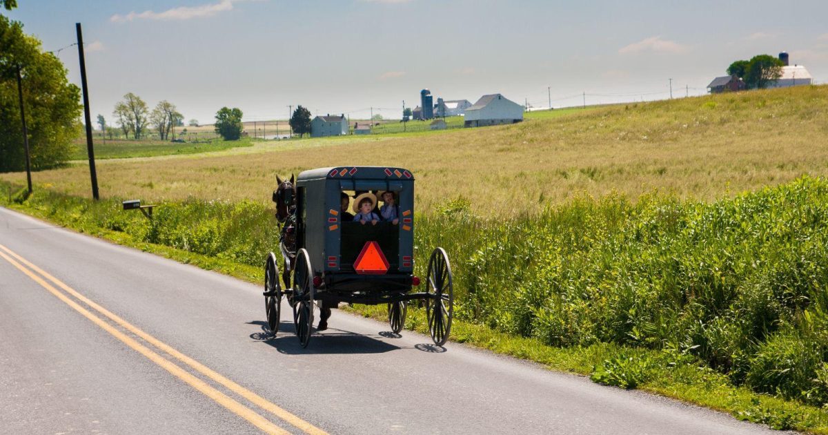 What happens on amish wedding night 60 photos - Vianawedding.com